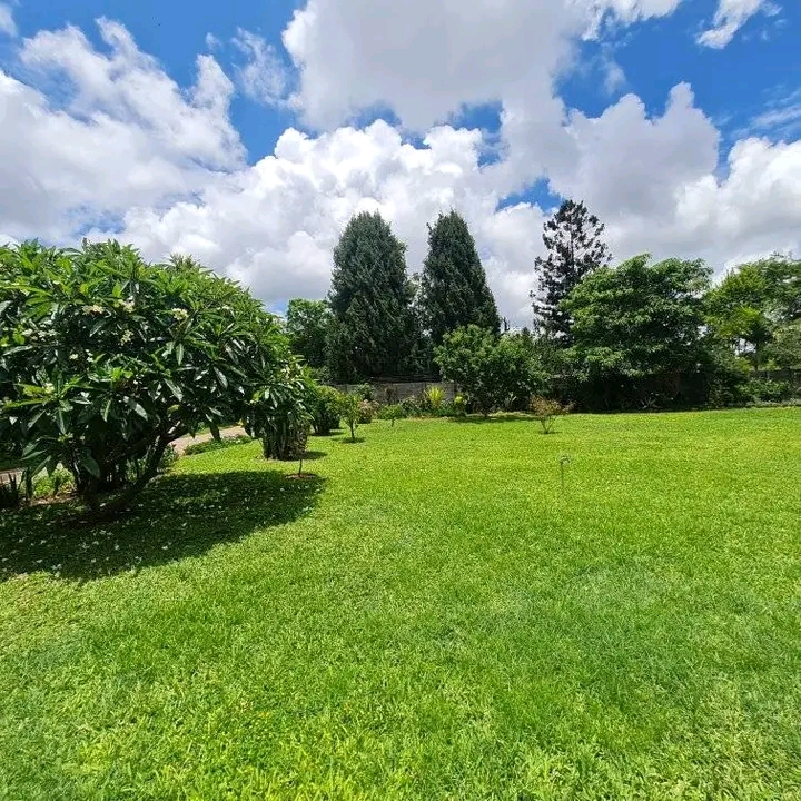 Greendale Bliss Haven - Muhacha Holiday Accommodations